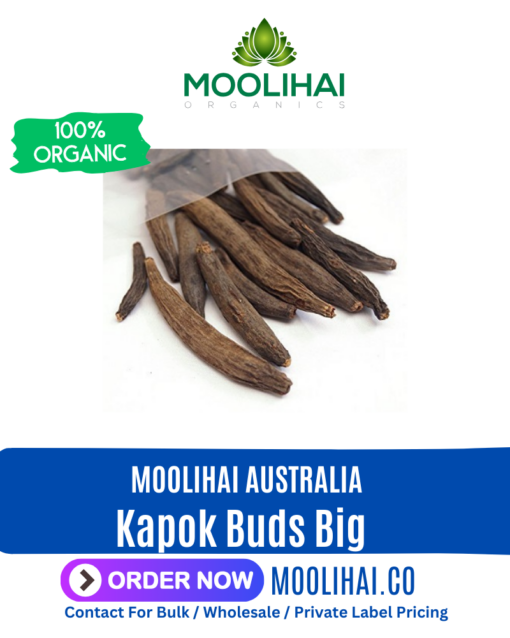 Kapok Buds Big / Ceiba Pentandra / Marathi moggu - Moolihai Australia