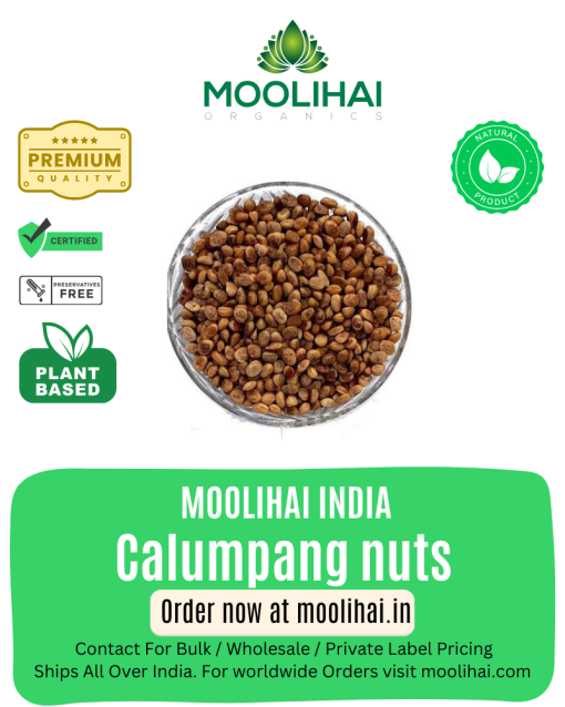 Calumpang nuts / Chironji / Sara Paruppu /Almodette Seeds - 250 gm ...