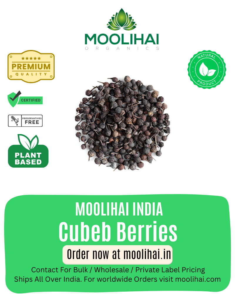 Cubeb Berries / Tailed Pepper / Valmilagu / Sinamilagu / Shital chini ...