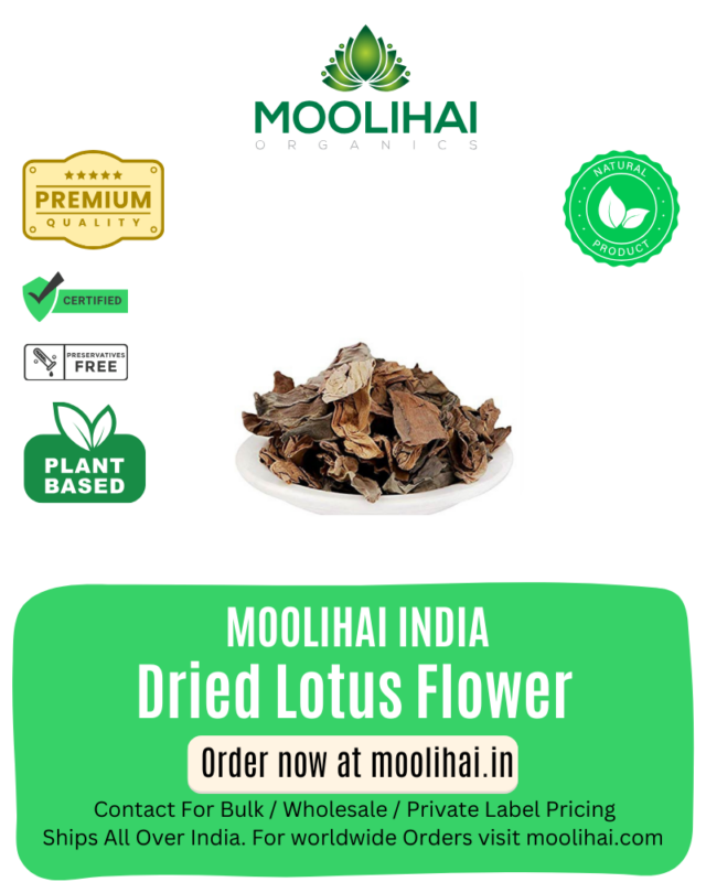 Dried Lotus Flower / Thamarai Poo / Kamal / Tavare / Tamara / Sacred ...