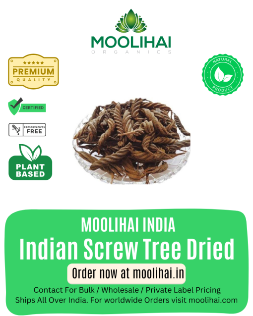 Organic Natural Indian Screw Tree Dried | Valampuri Kaai | Maror phali ...
