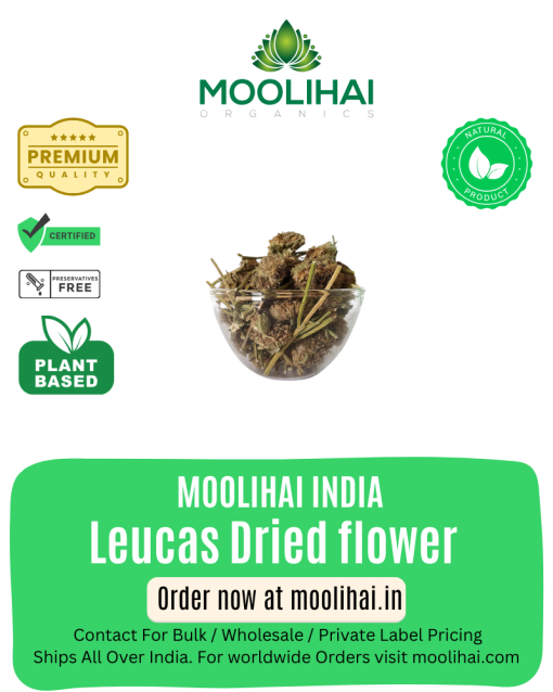 Natural Herbs Leucas Dried flower | Thumbai Poo | Tumba | Chota Halkusa ...