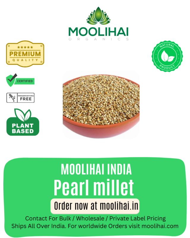 Pearl millet / Kambu / Bajra / Sajjalu / Kambam / Sajje-1kg - Moolihai ...