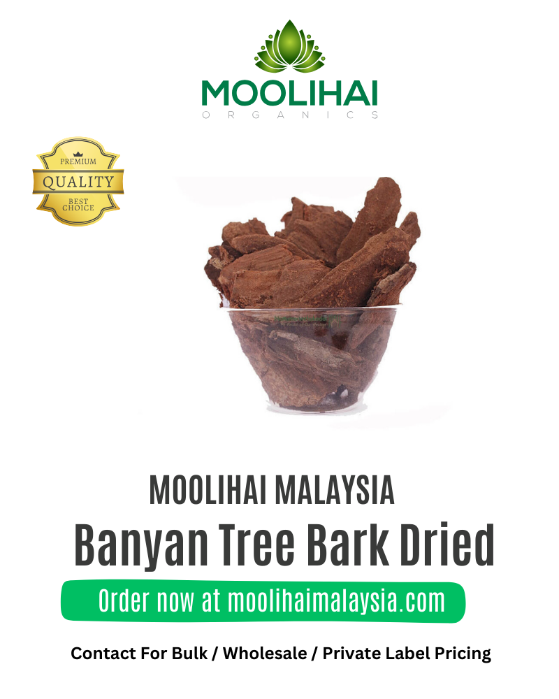 Banyan Tree Bark Dried / Slender Dwarf Bark / Aalam Pattai - Moolihai ...