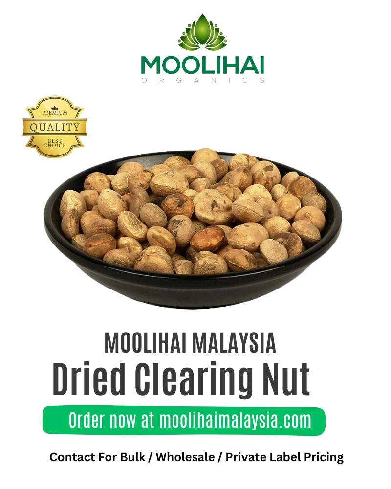 Dried Clearing Nut / Thetran Kottai - Moolihai Malaysia