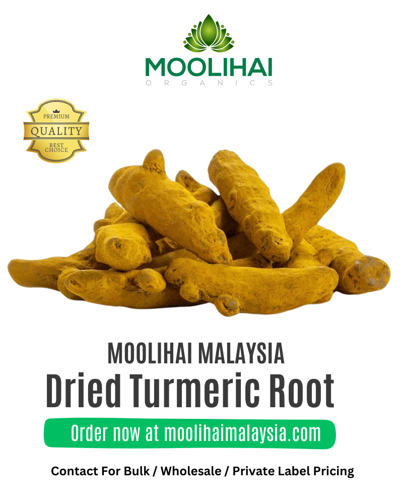 Dried Turmeric Root / Haldi – Moolihai Malaysia