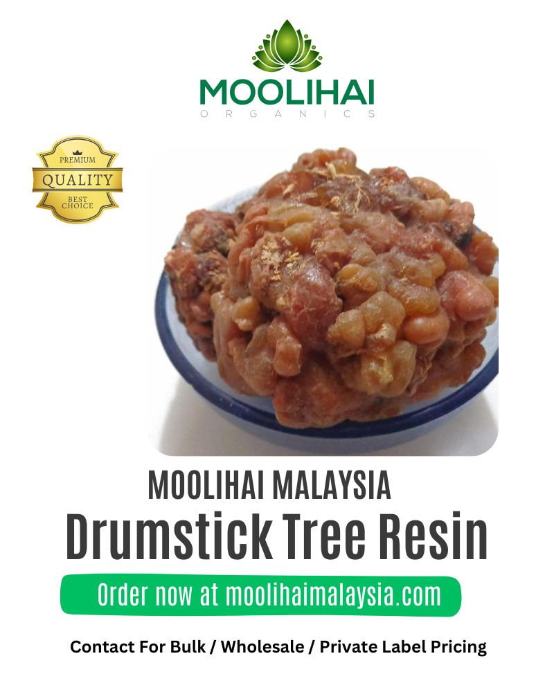 Drumstick Tree Resin / Murungai Pisin – Moolihai Malaysia