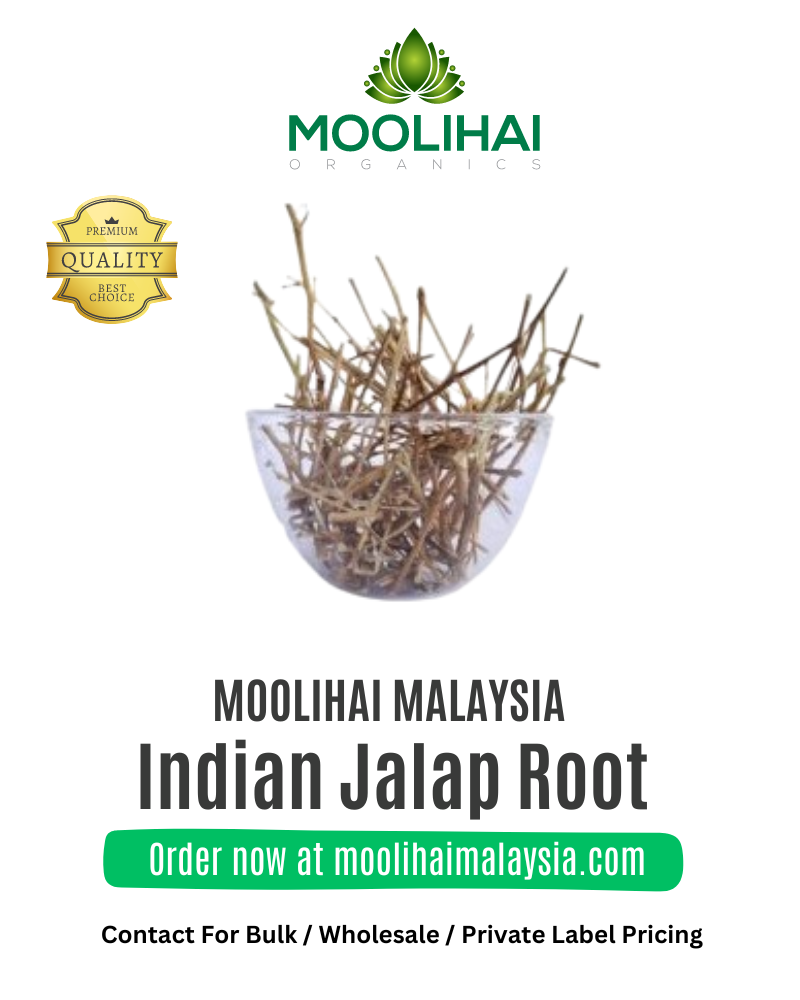 Indian Jalap Root / Civatai Ver - Moolihai Malaysia
