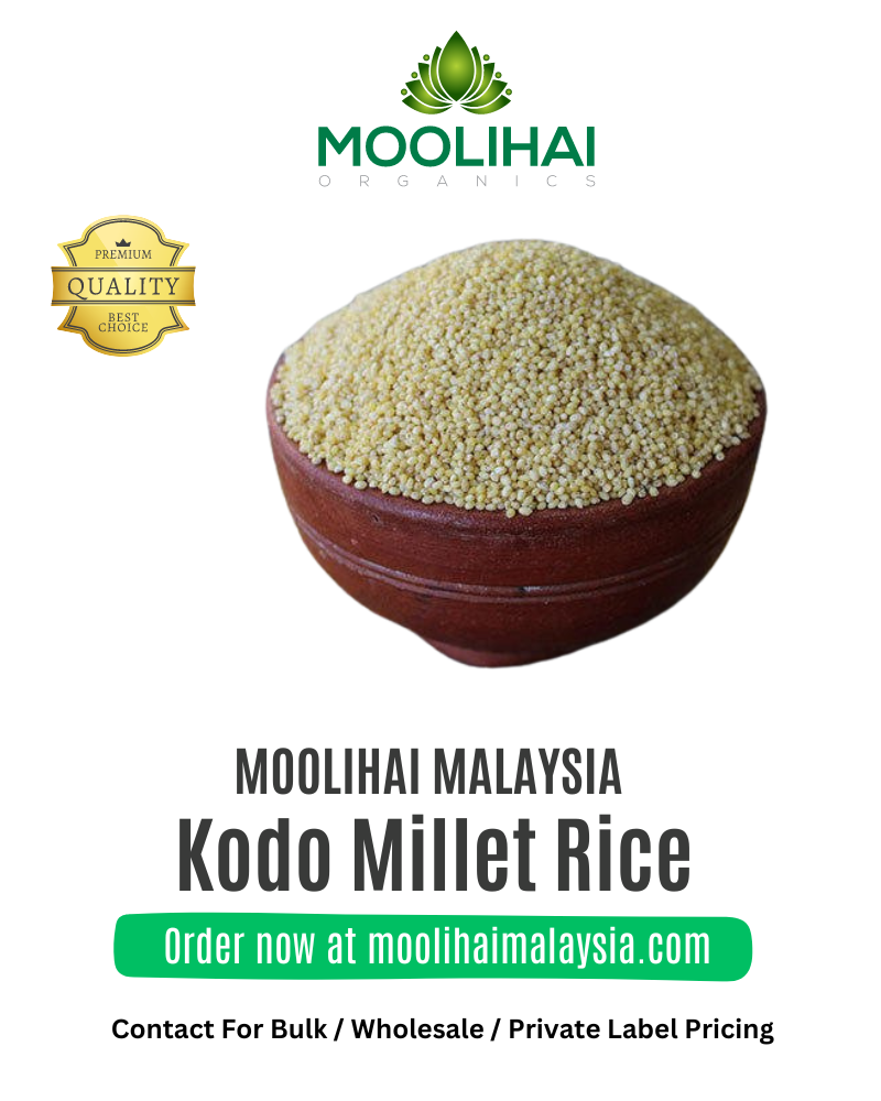 Kodo Millet Rice – Moolihai Malaysia