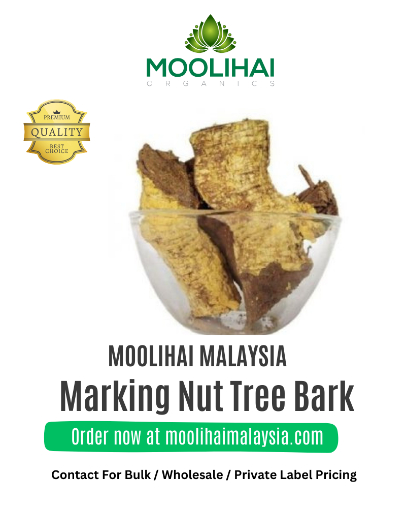Marking Nut Tree Bark – Moolihai Malaysia