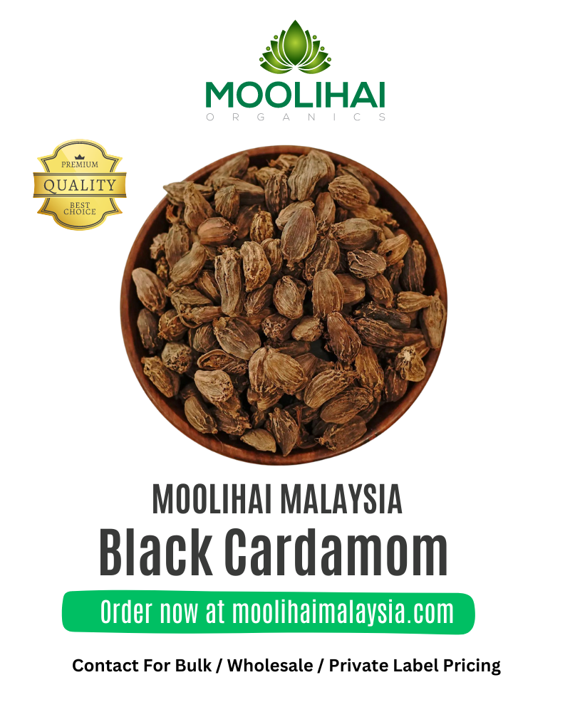 Natural Black Cardamom / Ilaichi - Moolihai Malaysia