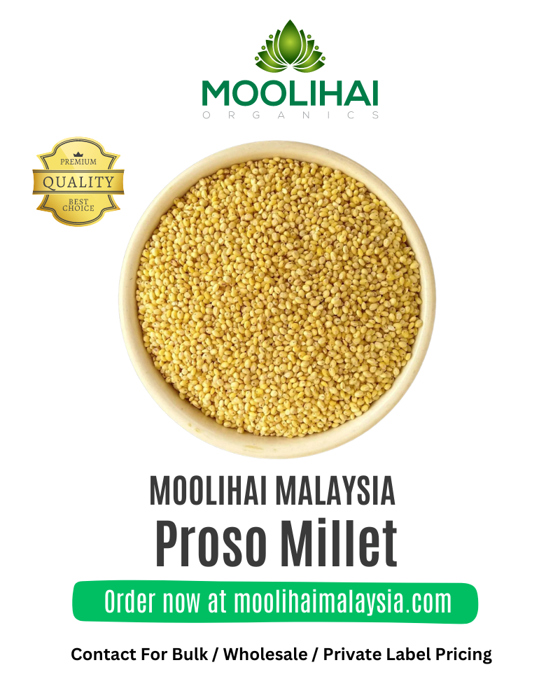 Proso Millet – Moolihai Malaysia