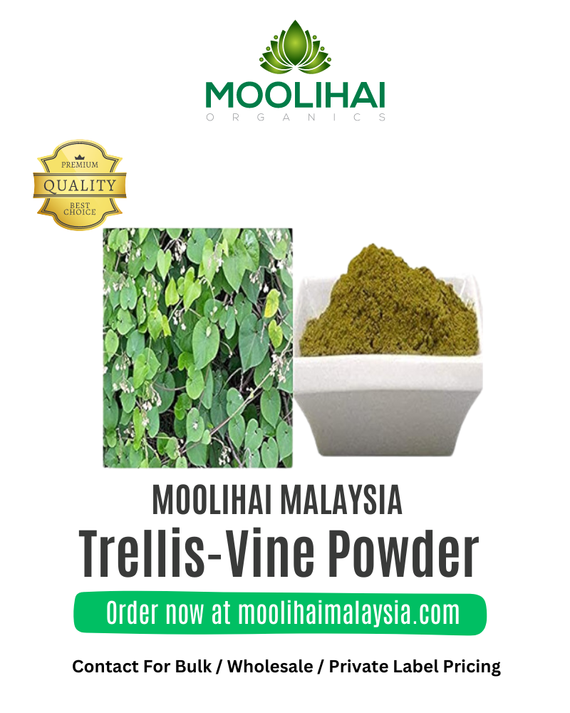 Trellis-Vine Powder / Veliparuthi / Uthamani - Moolihai Malaysia