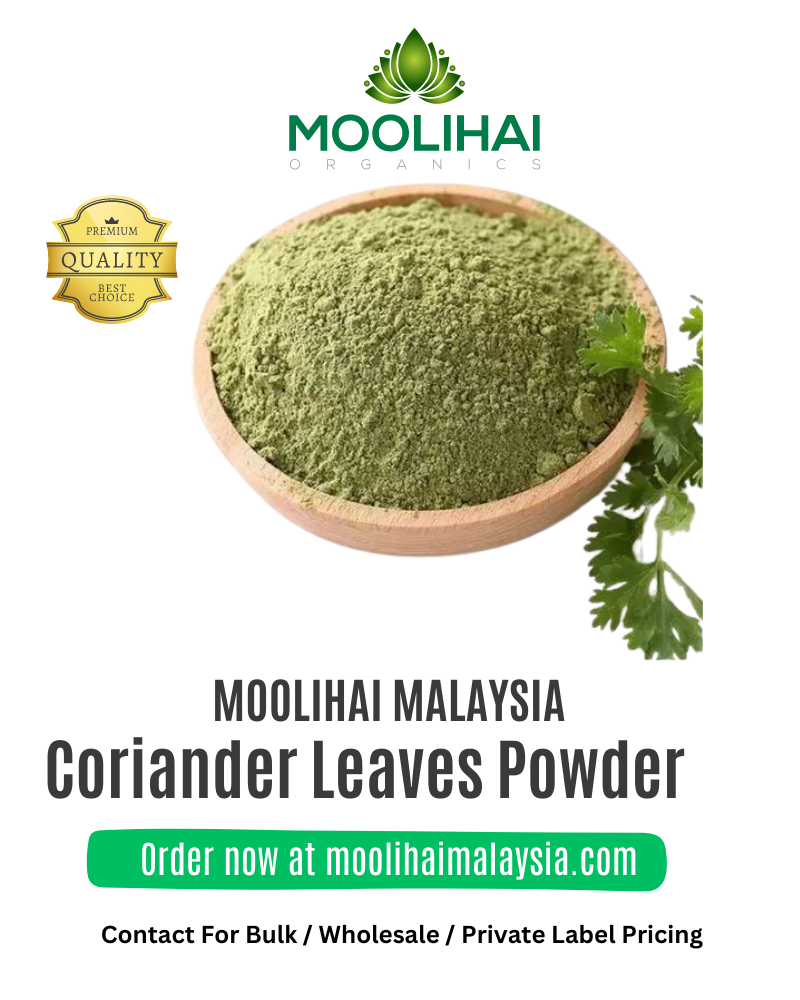 Coriander Leaves Powder / Kothamalli Ilai Podi – Moolihai Malaysia
