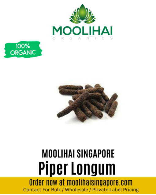 Piper Longum / Thippili / Long Pepper – Moolihai Singapore