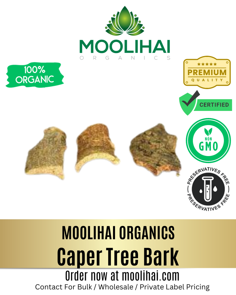 Caper Tree Bark - Maavilanga Pattai - Baruna - Crataeva Religiosa - 8.8 ...
