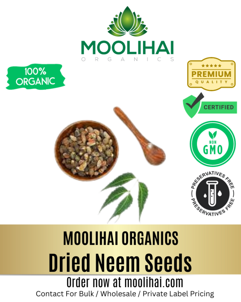 Neem Seeds - Vembu Seeds - Veppam Kottai - Akharot Seeds - Azadirachta ...