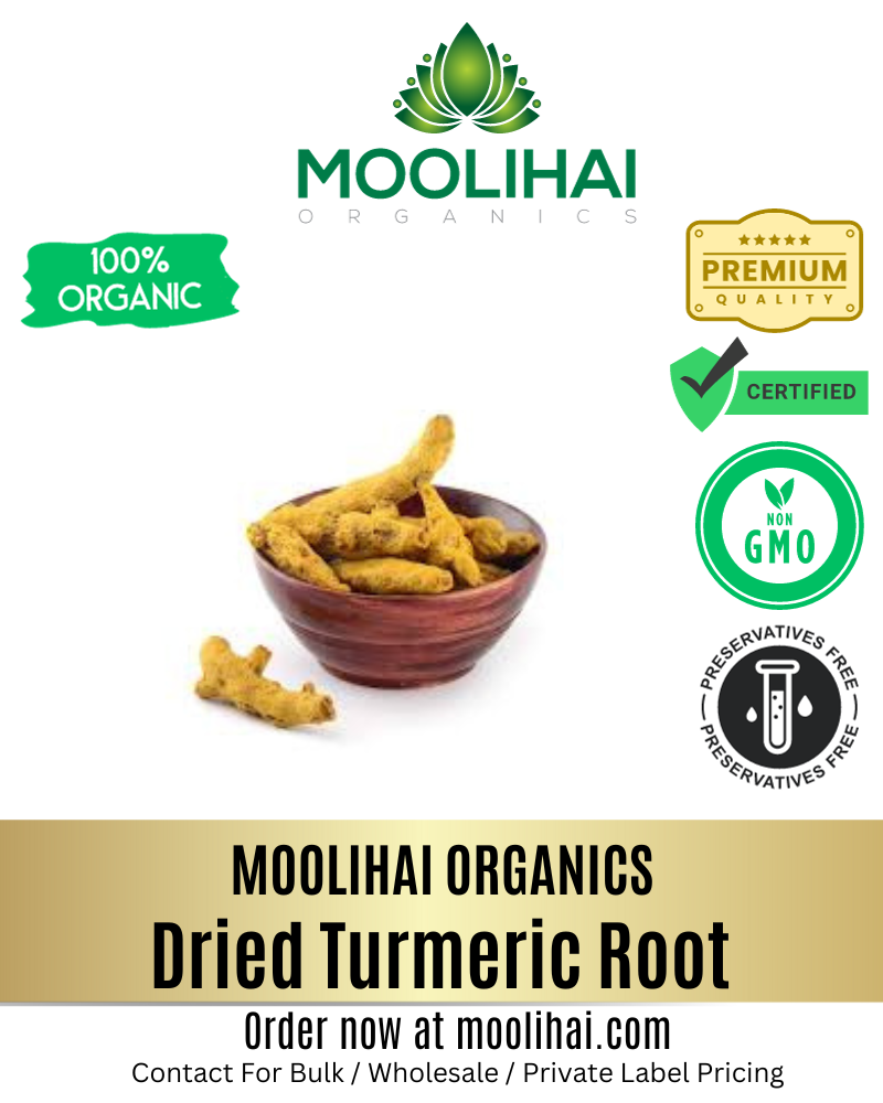 Natural Whole Dried Turmeric Root / Curcuma Longa / Curcuma Aromatica ...