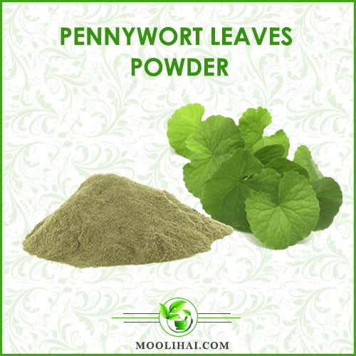 Pennywort Leaves Powder - Moolihai (Buy Siddha & Ayurveda Products)