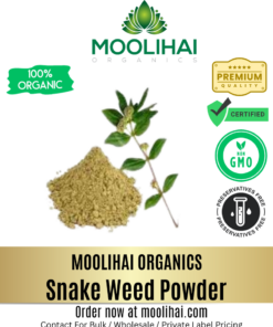 Health Benefits And Medical Properties Of Snake Weed (Euphorbia ...