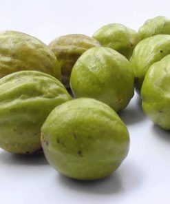 Buy Terminalia Belerica Powder / Beleric - Moolihai.com