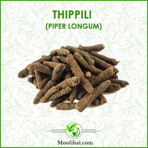 Buy Piper Longum / Long Pepper Online - Moolihai.com