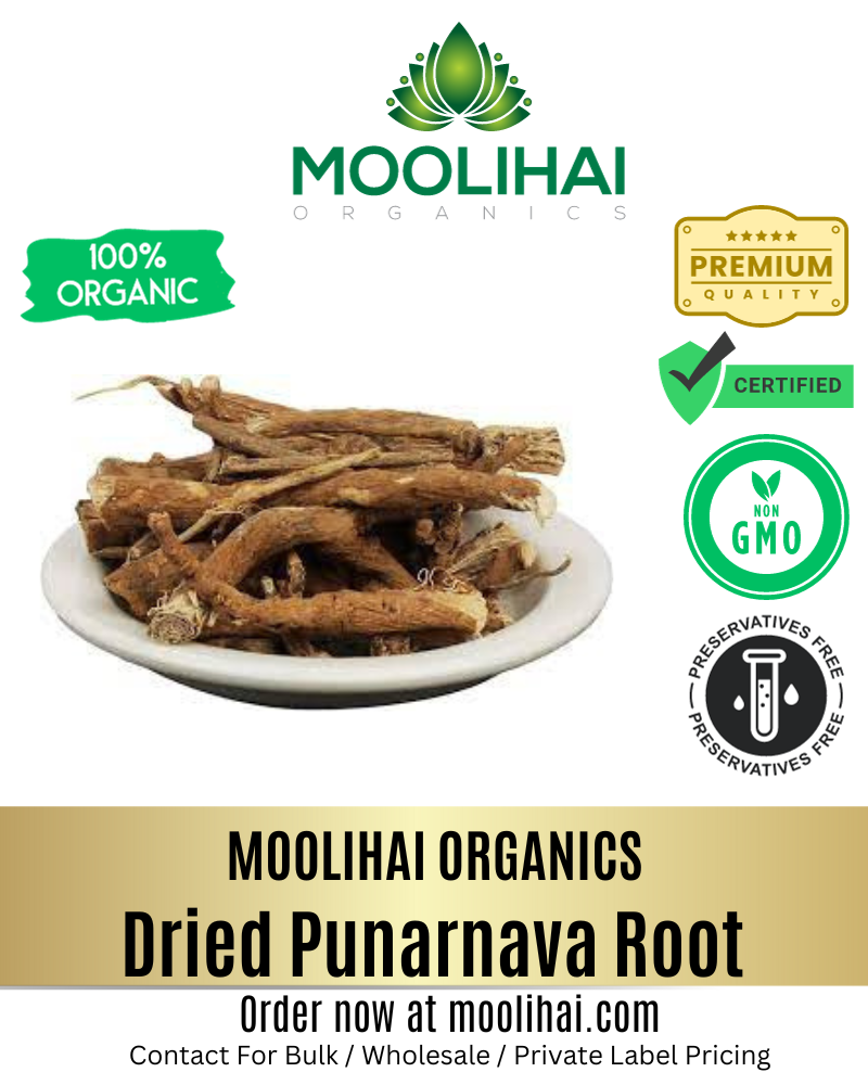 Dried Punarnava Root (Saranai Ver) - Boerhavia Diffusa (Trianthema ...