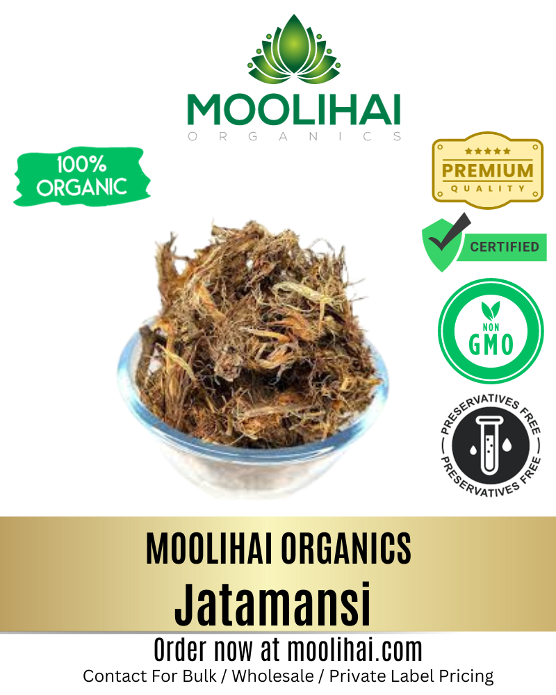 Jatamansi (Spikenard) - Jatamansi Musk Root - Balchad - Nardostachys ...