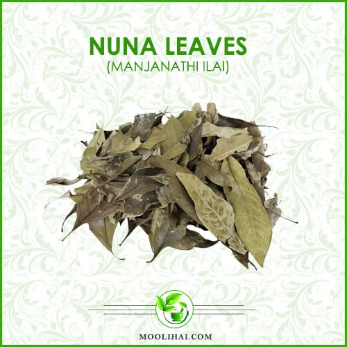 Buy Manjanathi Ilai/Nuna leaves Dried Online - Moolihai.com