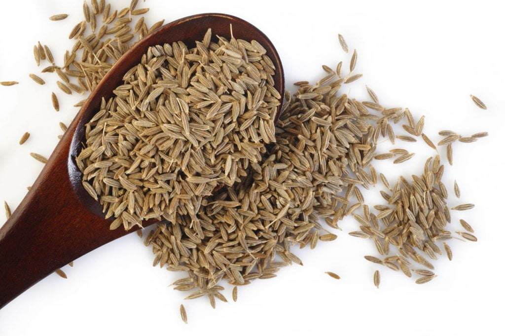 Cumin Powder | Cuminum Cyminum | Jira | Buy Jeera - Moolihai.com