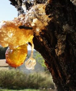 Buy Almond Gum / Badam Pisin / Badam Gum - 100gm - Moolihai.com