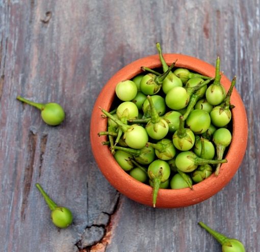 Buy Sundaikkai Podi / Turkey Berry Powder ( 50 Gm) Online - Moolihai.com