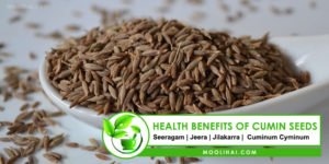 Health Benefits of Cumin Seed [20+ Powerful Uses] - Moolihai.com