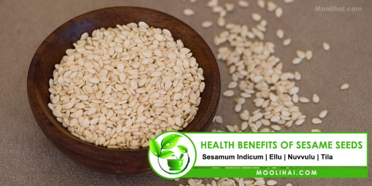 Health Benefits & Nutritional Values of Sesame Seeds