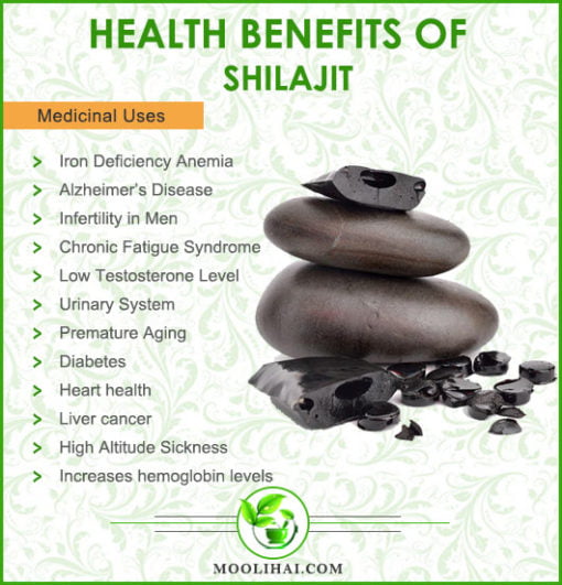 14 Benefits Of Shilajit: The Ancient Himalayan Superfood