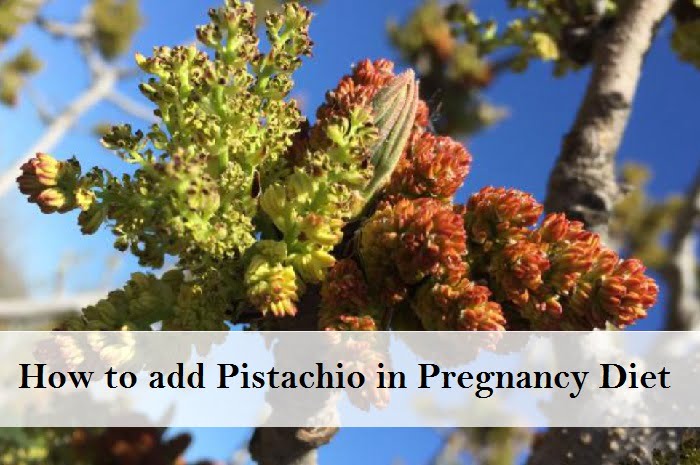 Surprising Health Benefits Of Pistachio Consumption - Moolihai.com