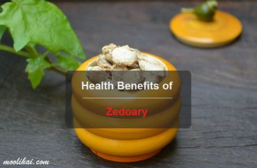 Zedoary: Uses, Health Benefits, Safety Precaution, and Dosage
