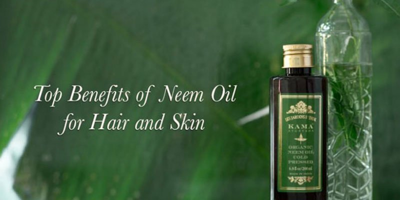 10 Amazing Medicinal Benefits Of Neem - Moolihai.com