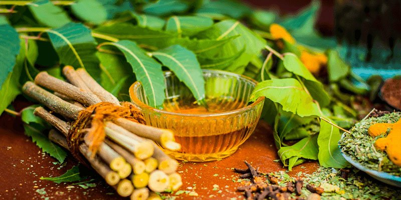 10 Amazing Medicinal Benefits Of Neem - Moolihai.com