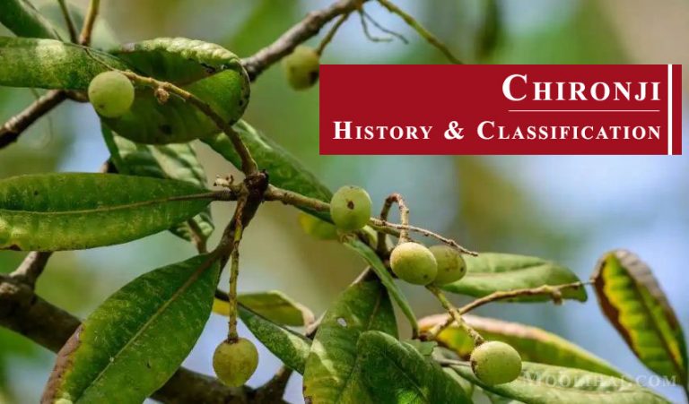 20 Possible Benefits of Chironji Dried Nuts [For Health & Beauty]