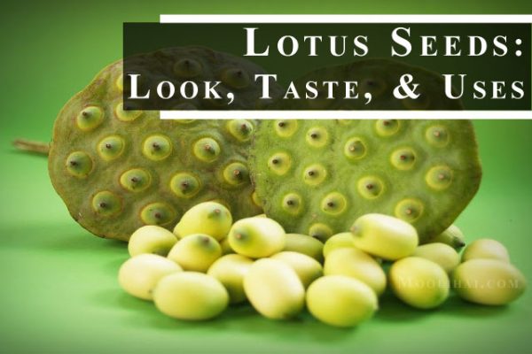 25 Possible Health Benefits of Lotus Seeds (Makhanas/Fox Nuts)