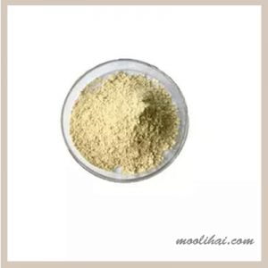 Zedoary: Uses, Health Benefits, Safety Precaution, and Dosage