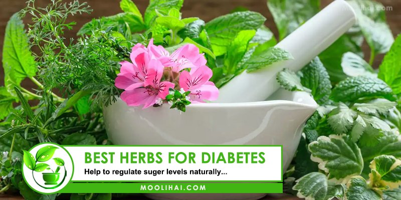 10 Scientifically Proven Herbs For Diabetes With Usage Guide