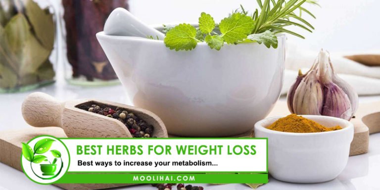 10 Best Herbs for Weight Loss - Best Guide