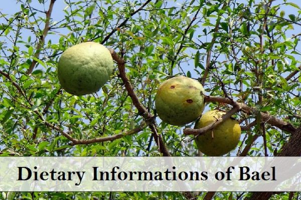 Bael: Health Benefits, Ayurvedic Uses, Side Effects & Nutrition Facts