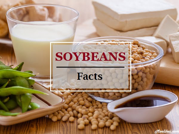 Science-Backed Health Benefits of Soybeans & Soy Foods - Moolihai.com