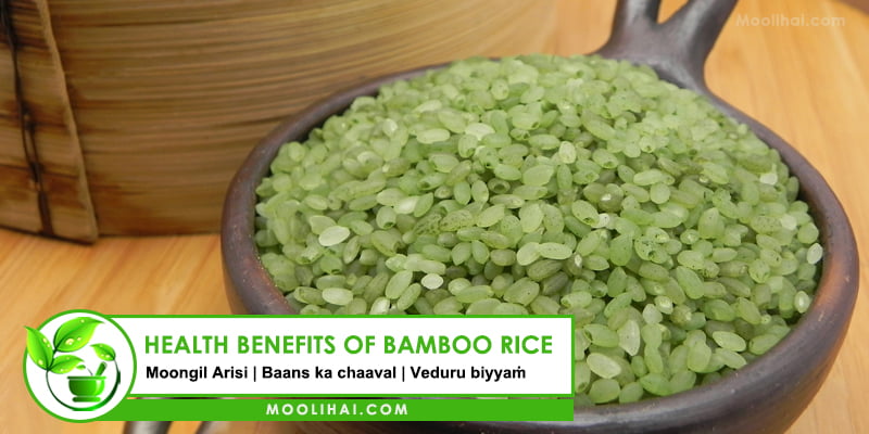 Bamboo Rice: Everything You Need To Know - Moolihai.com