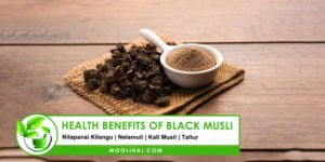Health Benefits of Black Musli ( (Nilapanai Kilangu)