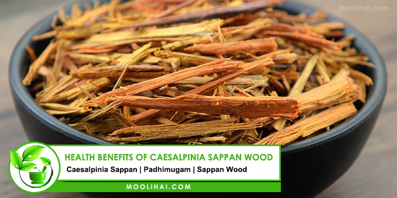Health Benefits Of Caesalpinia Sappan Wood (Padhimugam)