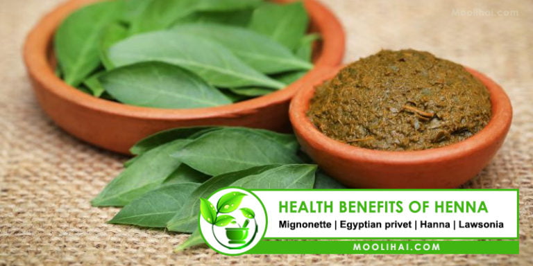 25 Potential Healing Benefits of Henna [For Health and Hair]